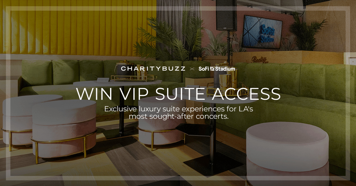 Experience Chris Brown from a VIP suite at SoFi - Prizeo